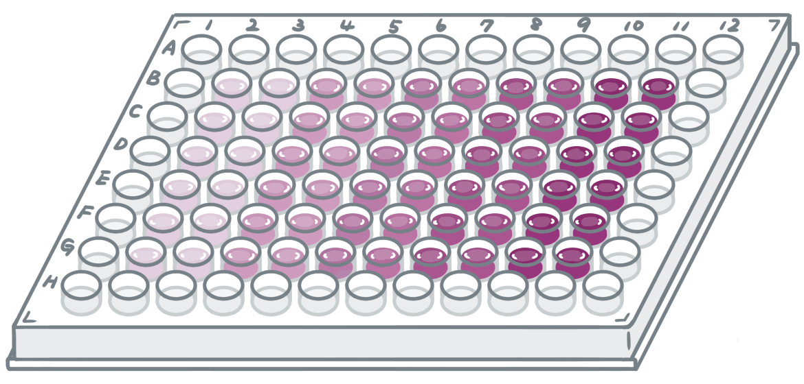 96ウェルプレート｜かがくイラスト