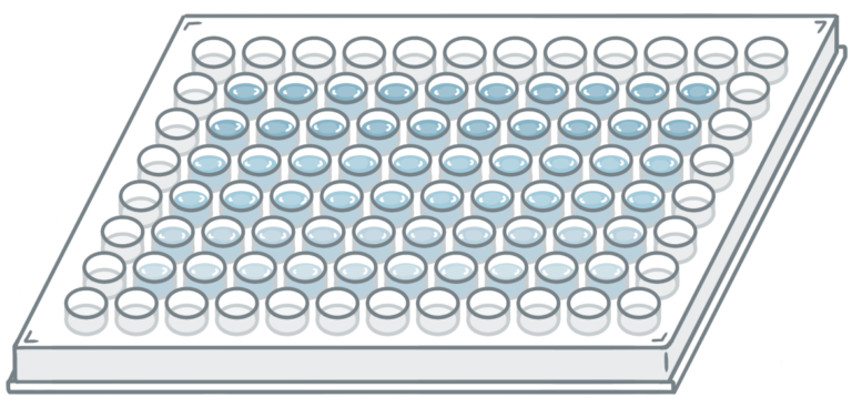 96ウェルプレート｜かがくイラスト